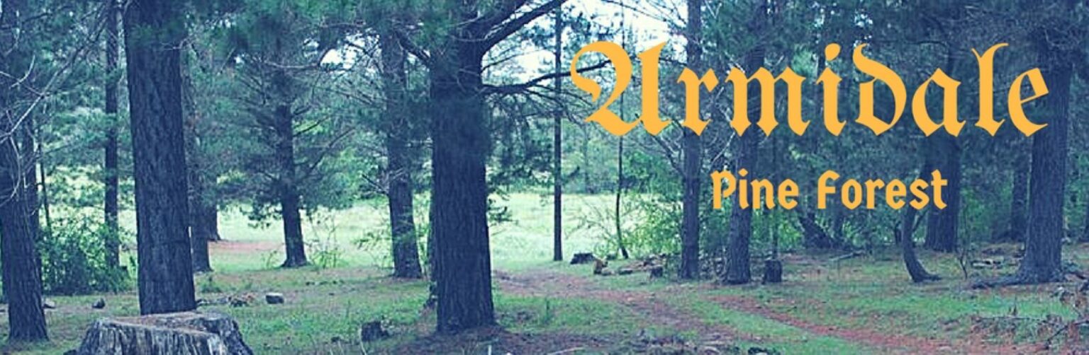 Ultimate Holiday Travel Ideas in Hunter Valley